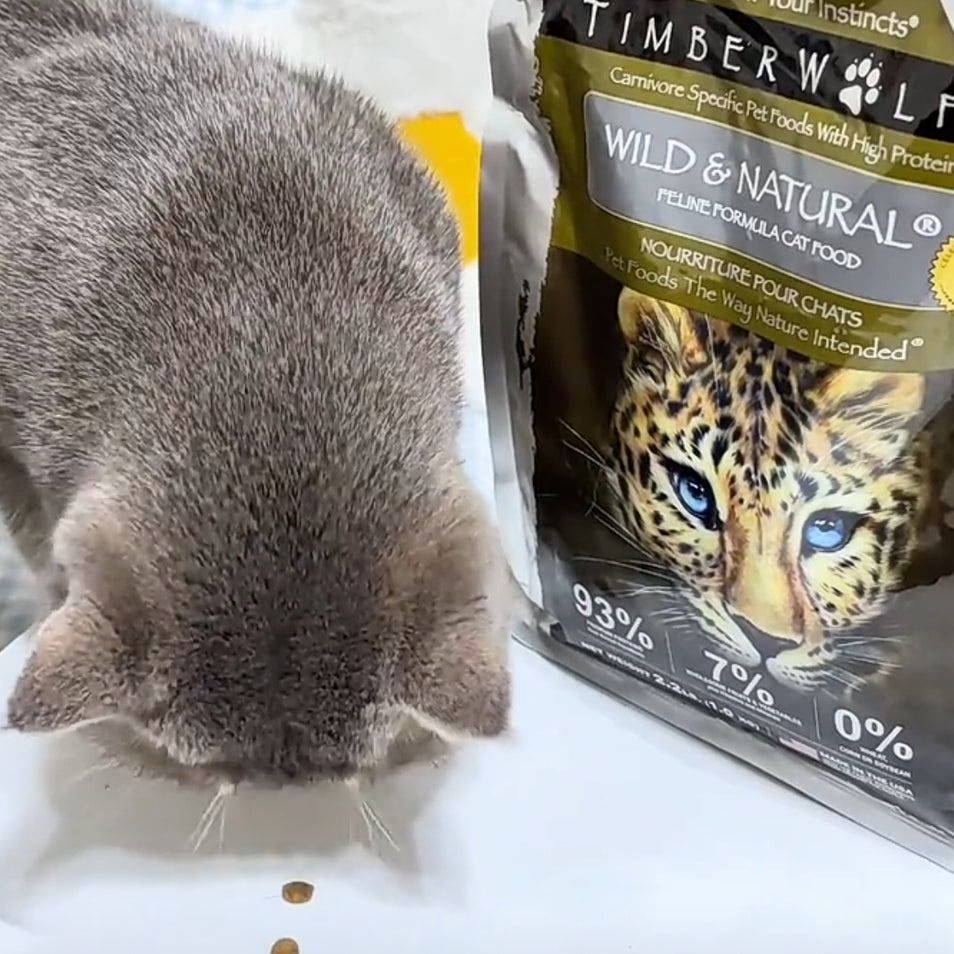 Cat Food – timberwolfpet