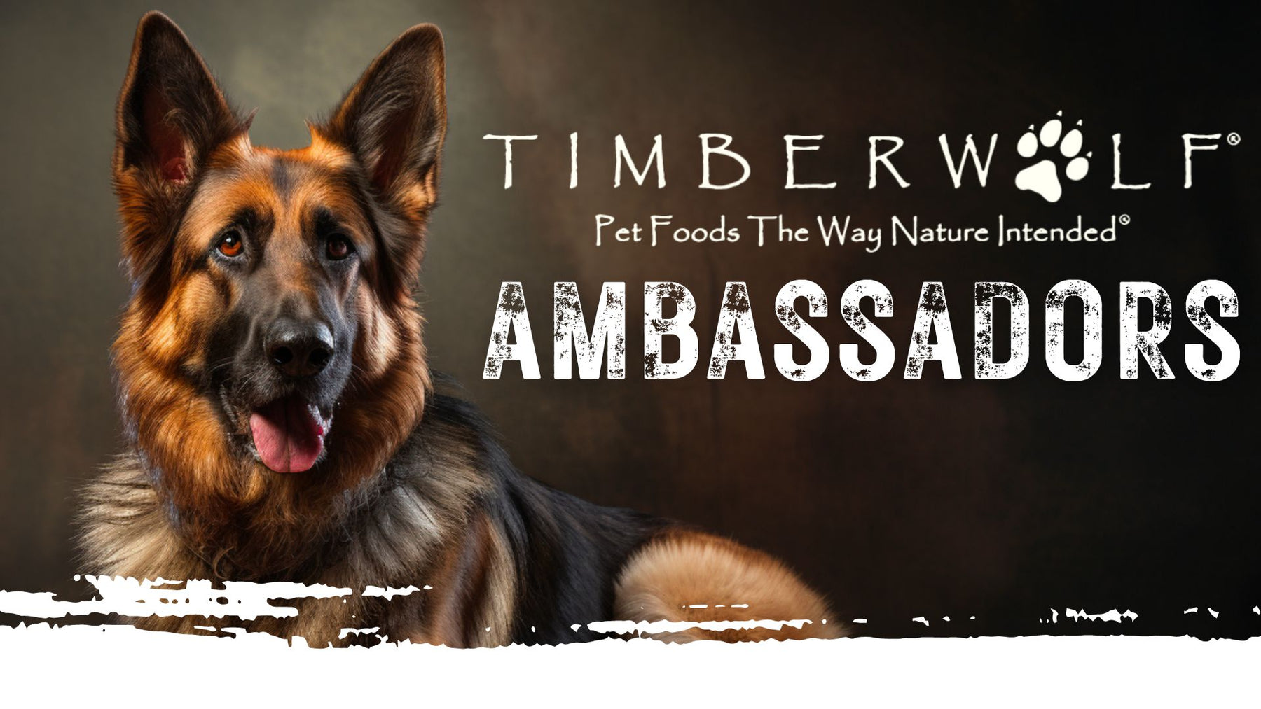 Timberwolf Ambassador Program – timberwolfpet