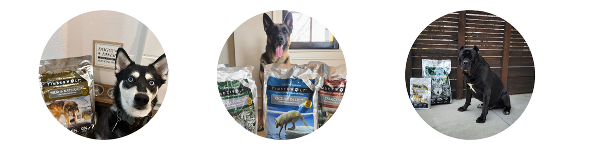 Timberwolf Ambassador Program – timberwolfpet