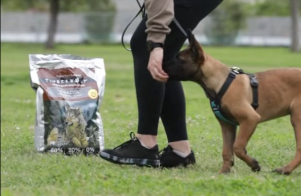 Timberwolf, Pet Foods The Way Nature Intended! – timberwolfpet