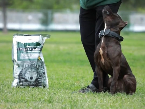 Timberwolf, Pet Foods The Way Nature Intended! – timberwolfpet