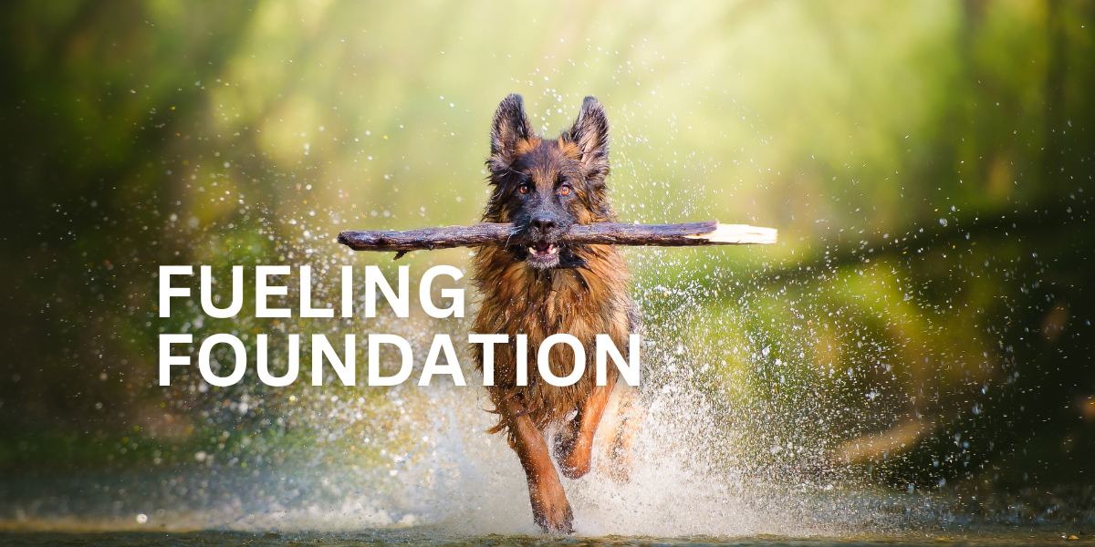 Nutrient Breakdown - What Makes Up Each Timberwolf Recipe – timberwolfpet