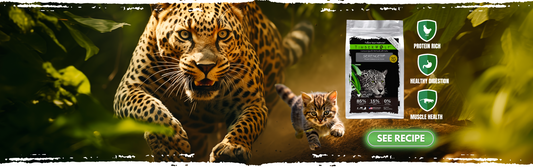 Timberwolf, Pet Foods The Way Nature Intended! – timberwolfpet