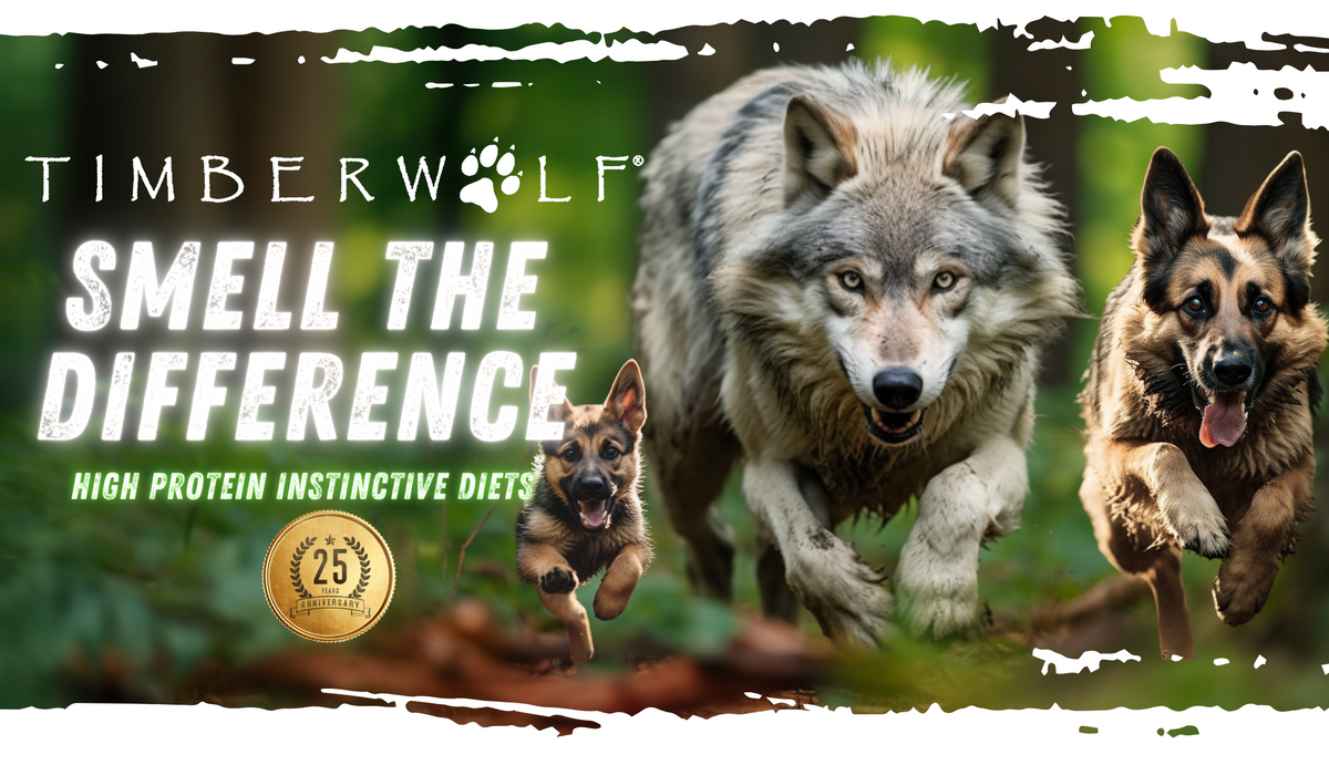 Timberwolf Ambassador Program – timberwolfpet