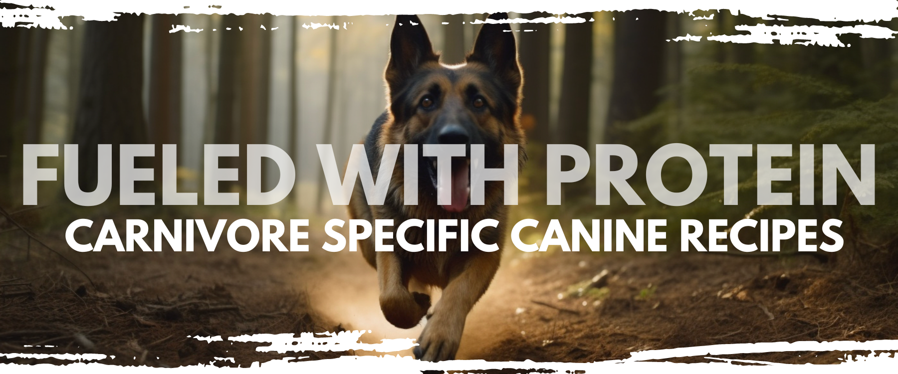 Instinctive Canine Recipes | Premium Dog Food Recipe – timberwolfpet