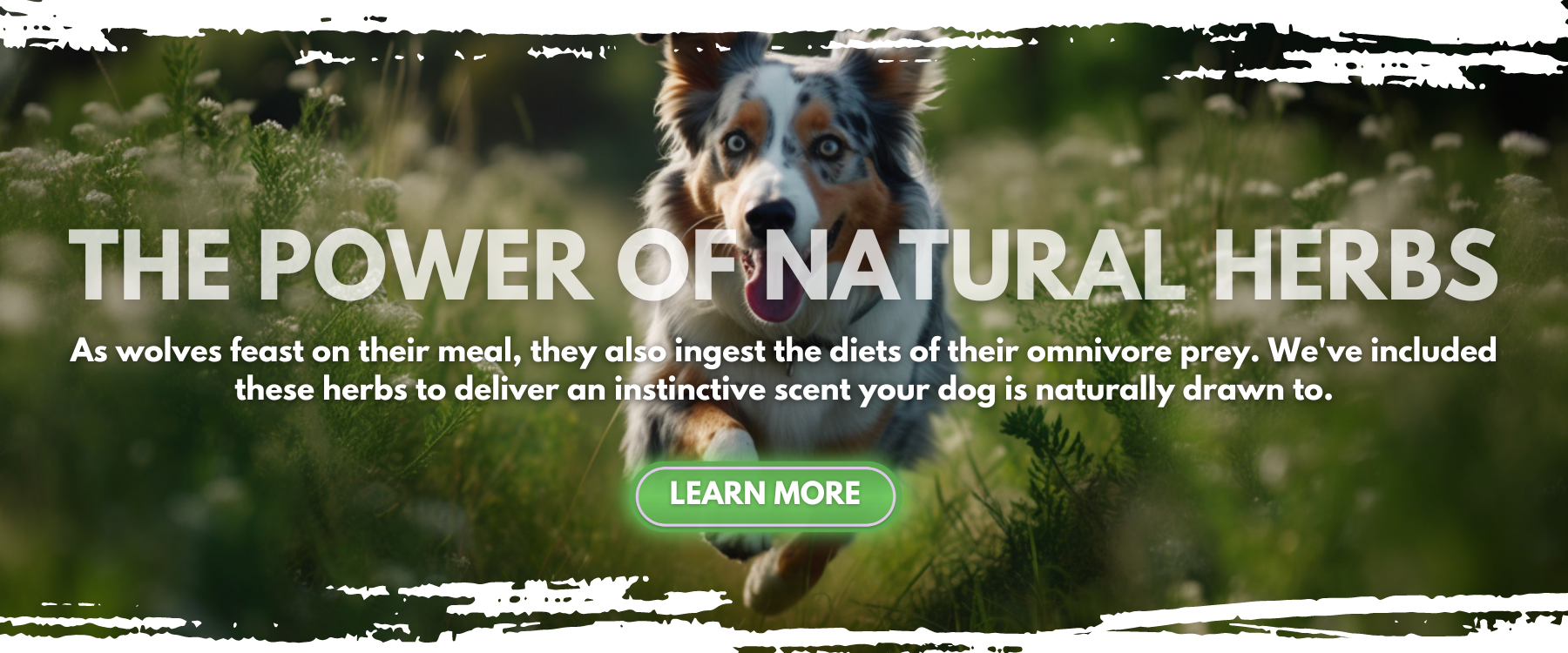 Timberwolf, Pet Foods The Way Nature Intended! – timberwolfpet