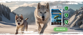 Timberwolf, Pet Foods The Way Nature Intended! – timberwolfpet