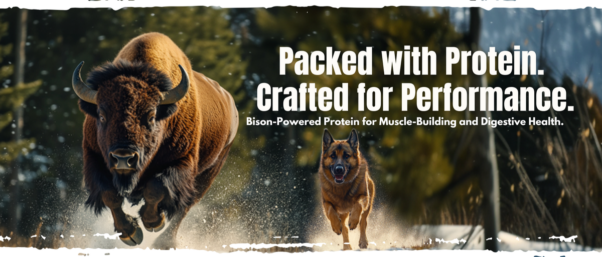 Instinctive Canine Recipes | Premium Dog Food Recipe – timberwolfpet