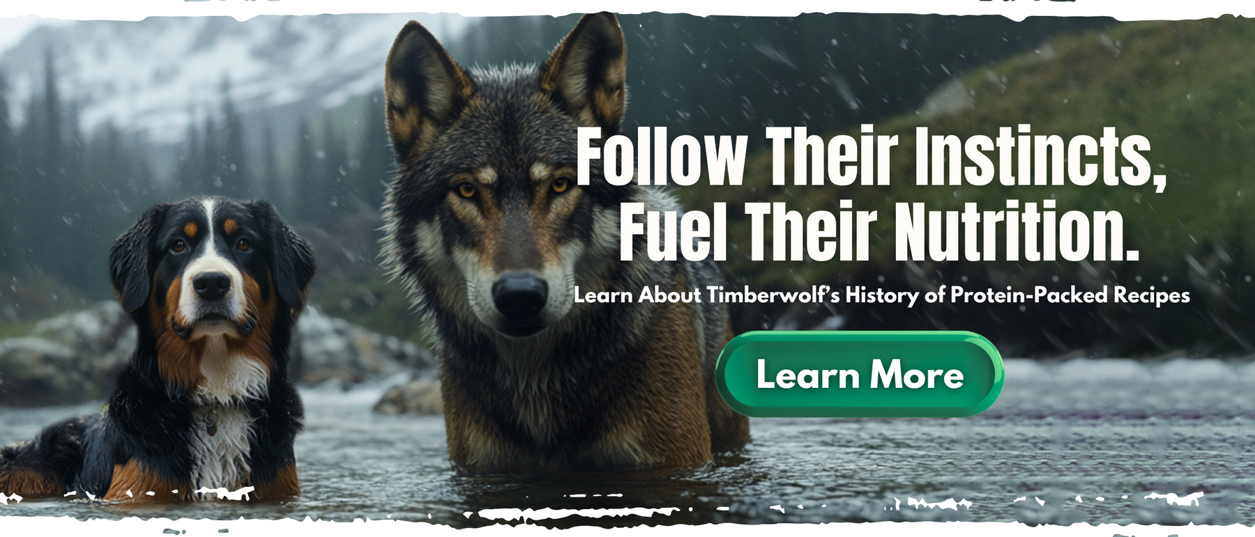 Timberwolf, Pet Foods The Way Nature Intended! – timberwolfpet