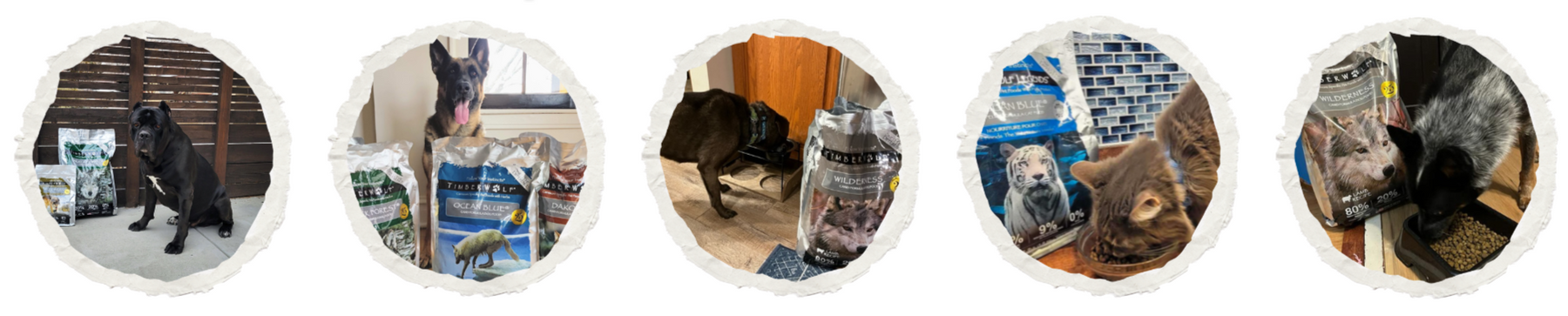 Timberwolf, Pet Foods The Way Nature Intended! – timberwolfpet