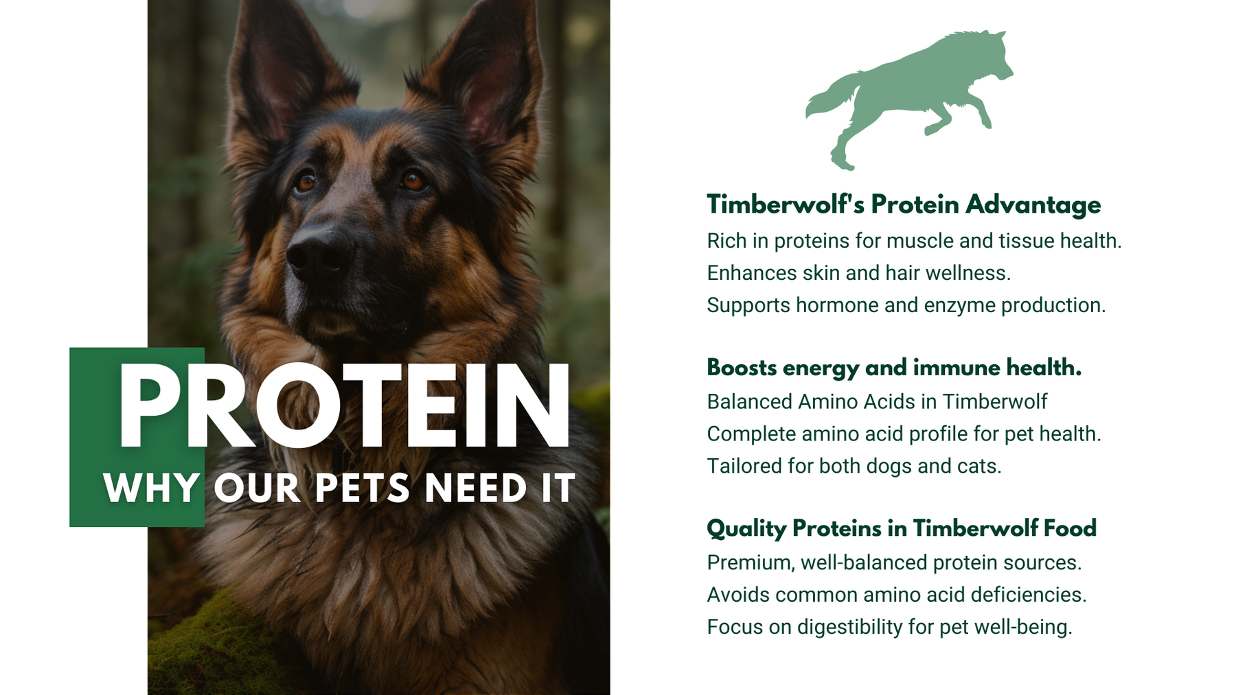 Instinctive Canine Recipes | Premium Dog Food Recipe – timberwolfpet